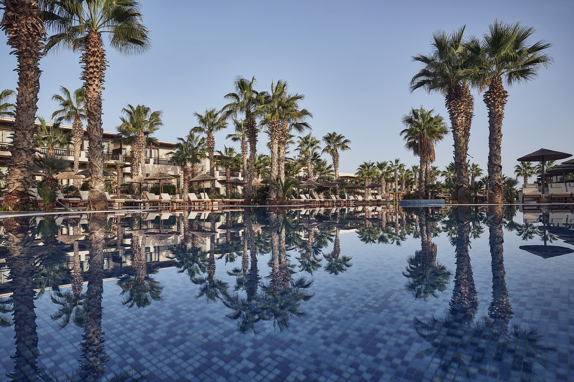 Gallery - Stella Blue